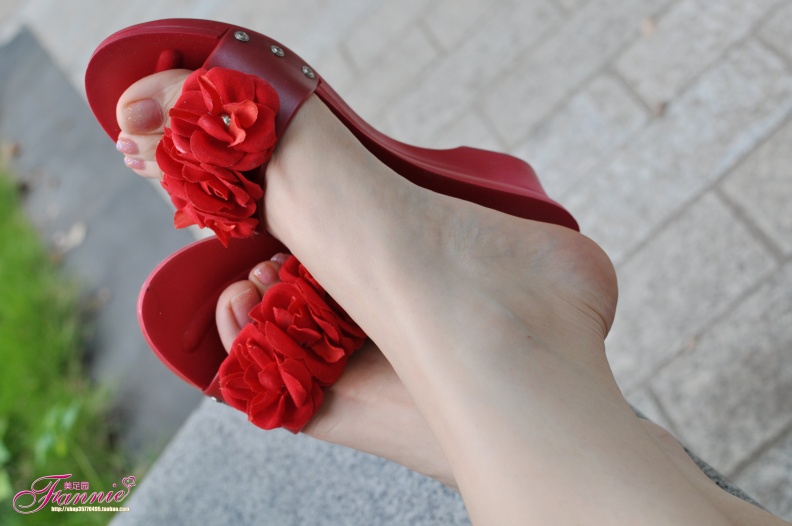 DSC 0050 | （福妹）主题相册